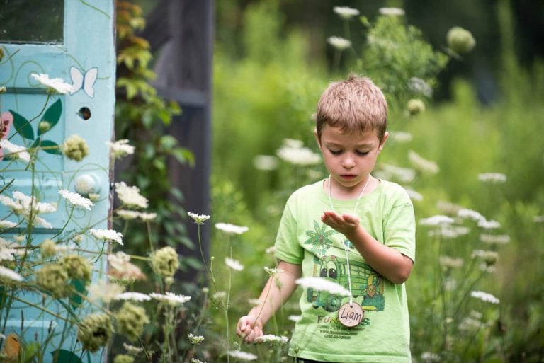 Home - Fernbrook Farms