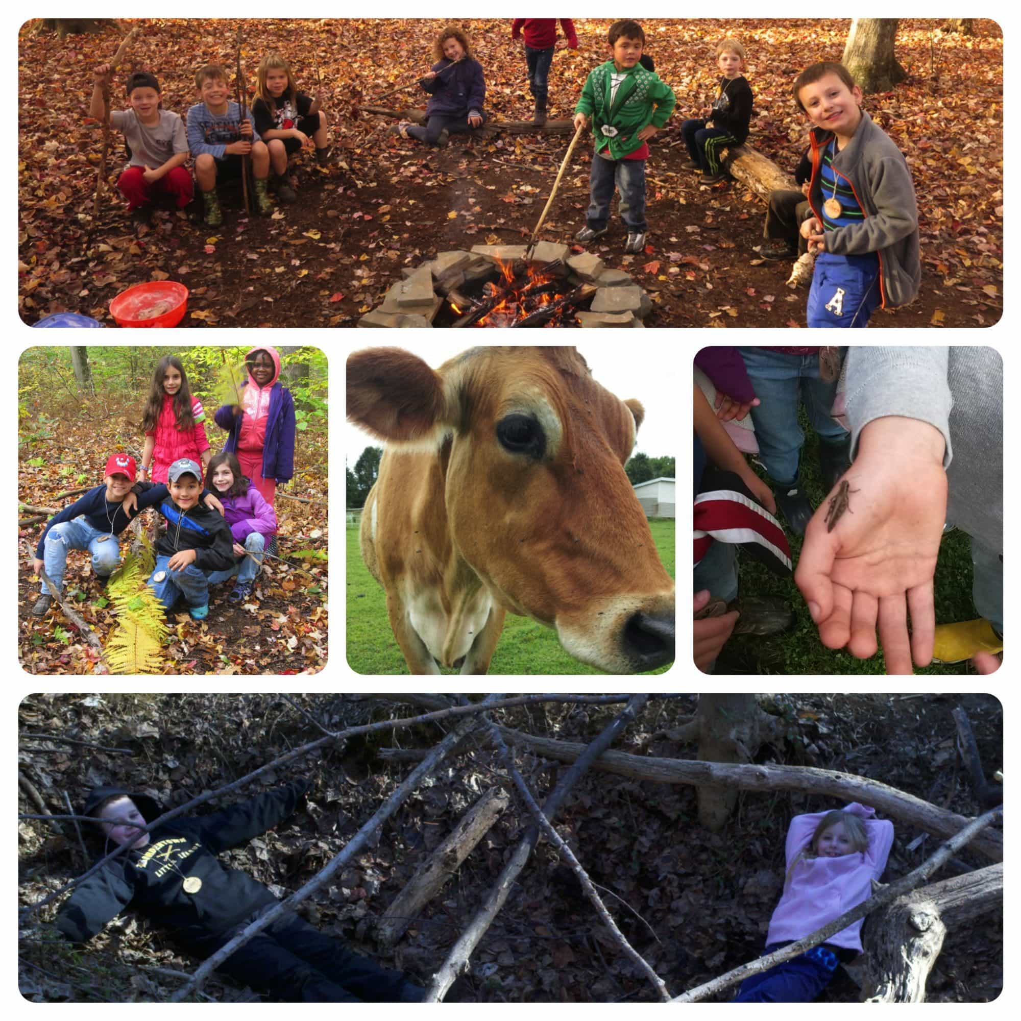 Fall Break Camp Days - Fernbrook Farms