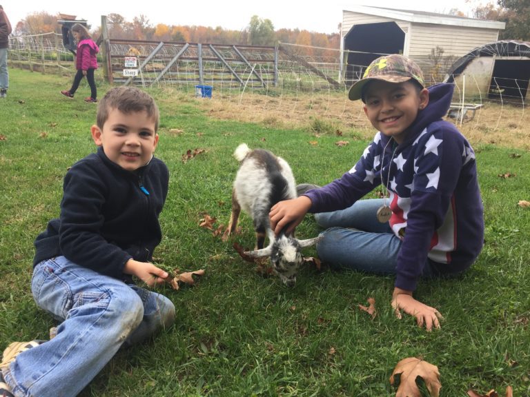 About the Center - Fernbrook Farms