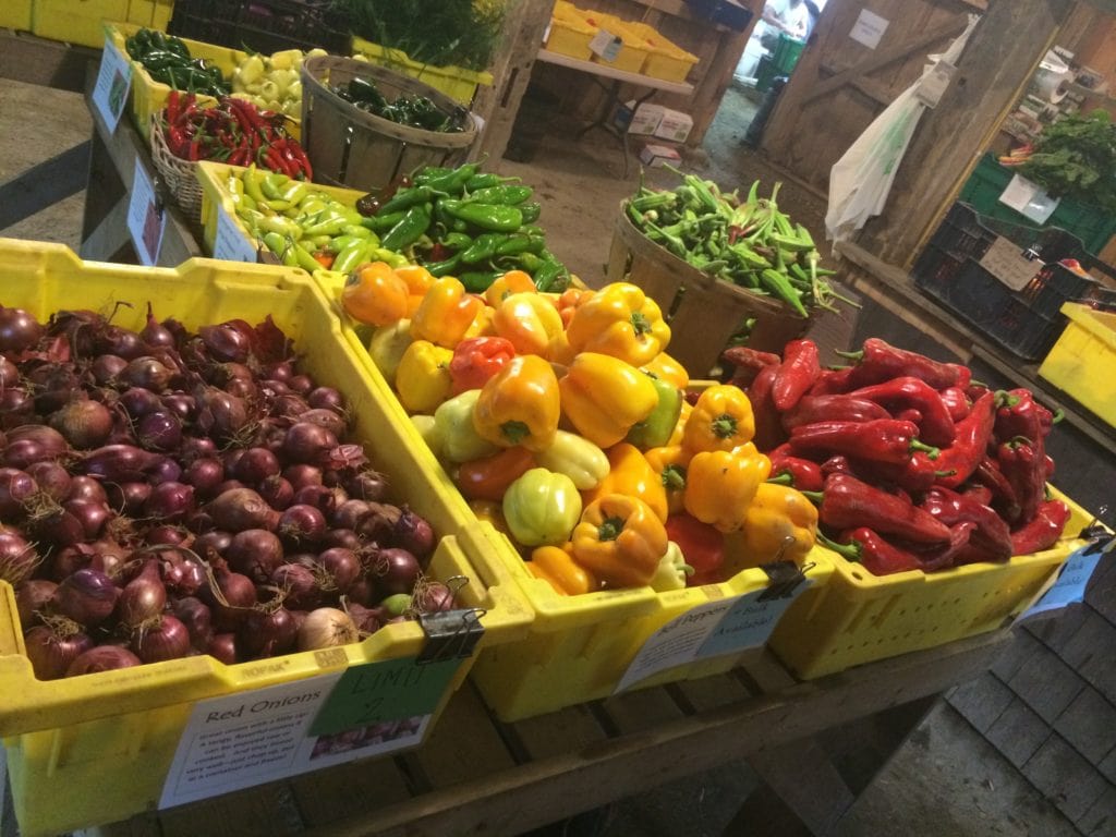 Home - Fernbrook Farms