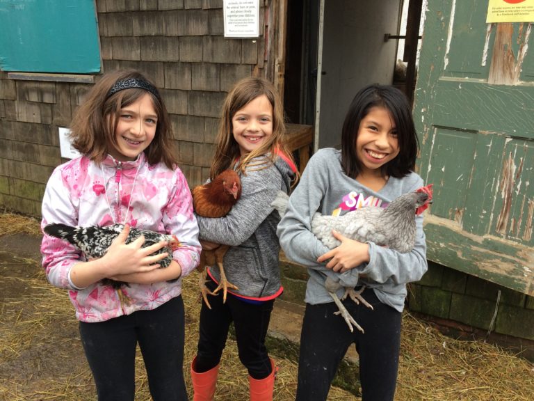 Home - Fernbrook Farms