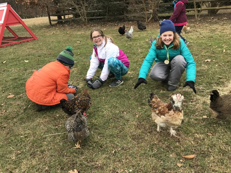 Home - Fernbrook Farms