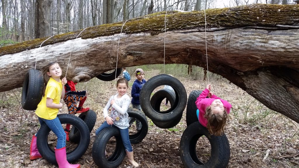 Spring Break Camp - Fernbrook Farms