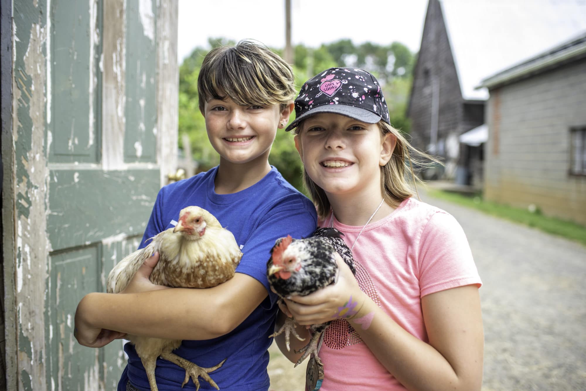 Home - Fernbrook Farms