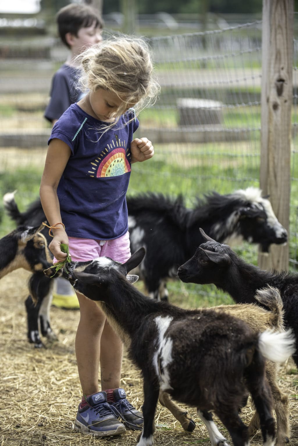 Home - Fernbrook Farms