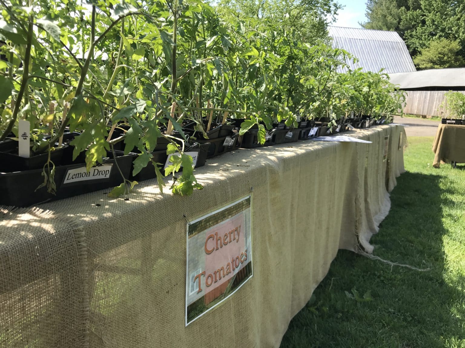 Home - Fernbrook Farms