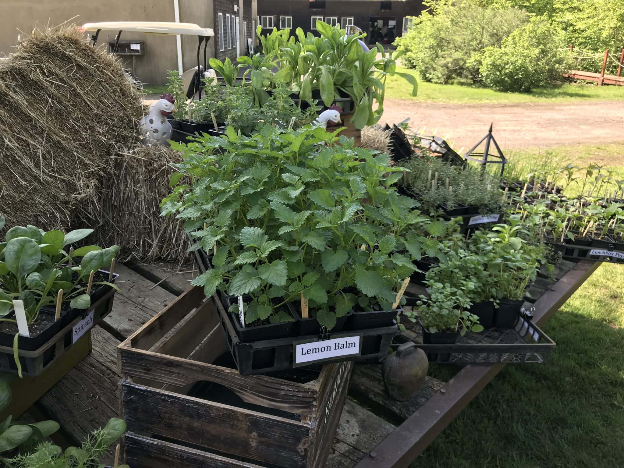 Home - Fernbrook Farms