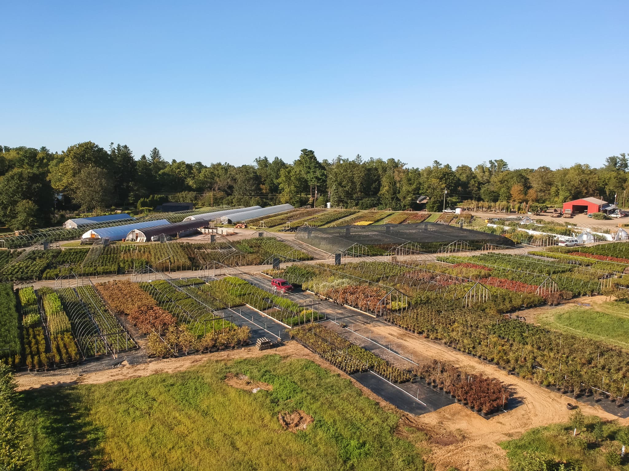 About the Nursery - Fernbrook Farms