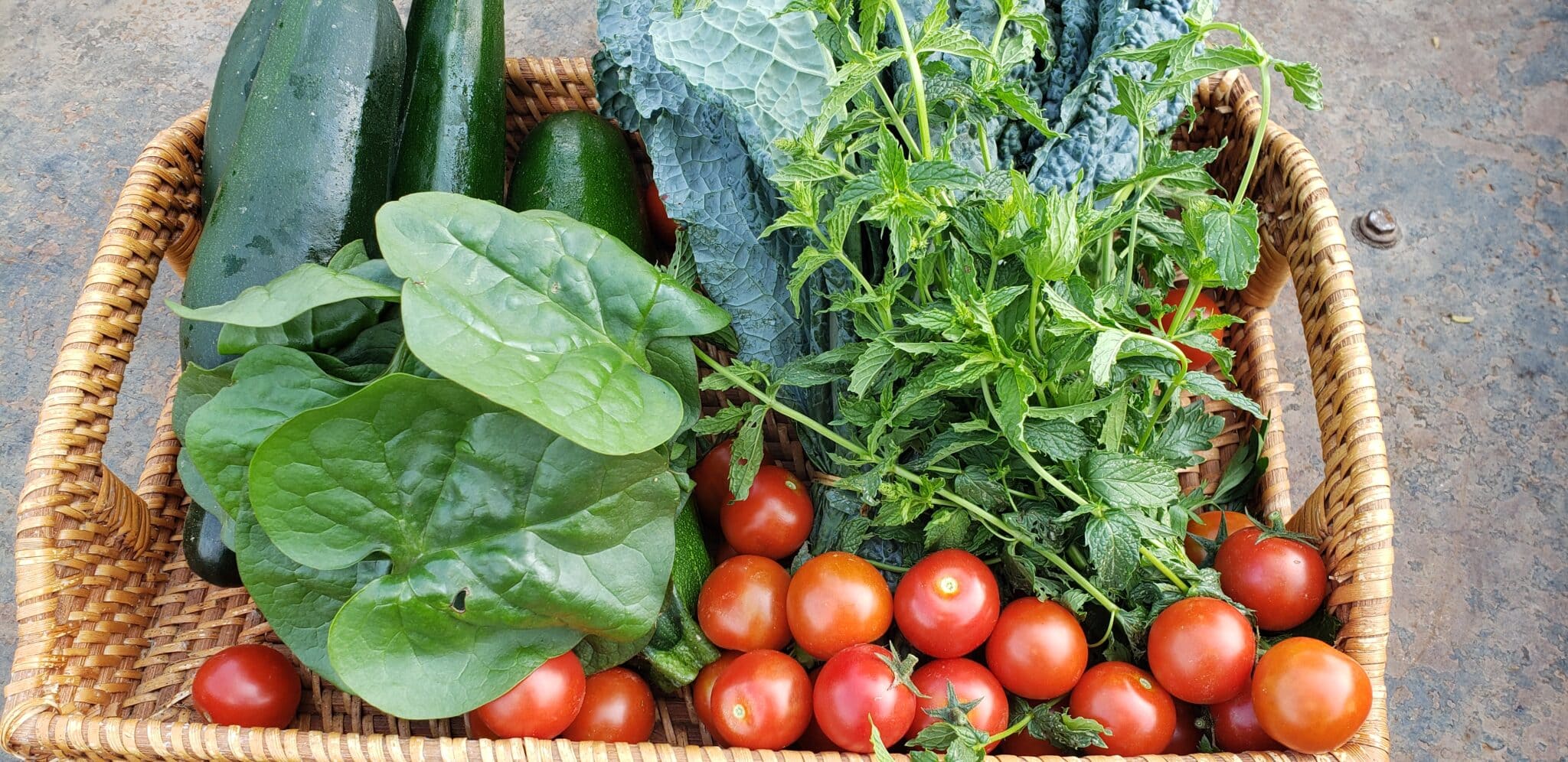 Home - Fernbrook Farms